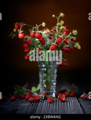 Fresh strawberries on strawberry plants at fields. Strawberry growing ...