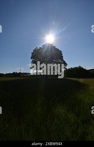 Krasna, Czech Republic. 12th June, 2024. More than a hundred-year-old ...