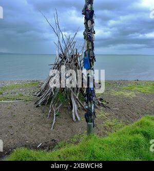 Natural tree shetler built at high tide Stock Photo - Alamy