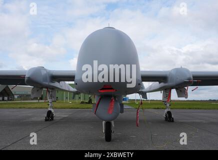 Jagel, Germany. 11th June, 2024. A Swiss Air Force F-18 fighter jet ...
