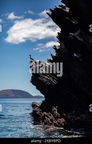 Scenes from around Ecuador and the Galapagos Islands Stock Photo - Alamy