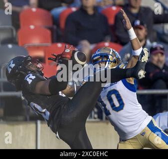 Winnipeg Blue Bombers' Nic Demski, left, and Chris Kolankowski (67) celebrate after Demski's ...