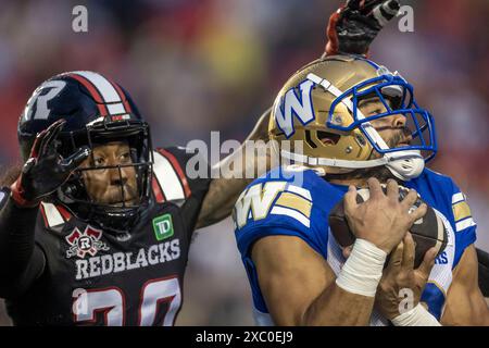 Winnipeg Blue Bombers' Nic Demski (10) leaps over Saskatchewan Roughriders' Kosi Onyeka (31) for ...