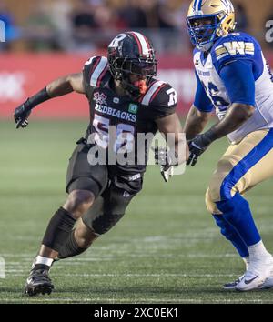 Ottawa, Canada. 13 Jun 2024. Max Charbonneau (39) of the Winnipeg Blue Bombers. Regular season ...