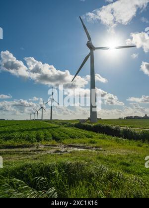 Marrum, Netherlands - August 7th 2024: A row of wind generators on ...