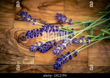 Lavender Lavendula Augustifolia in the herbal garden Stock Photo - Alamy