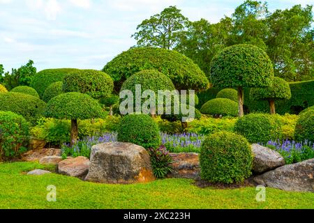 English garden trees bushes trimmed in geometric correct shapes ...