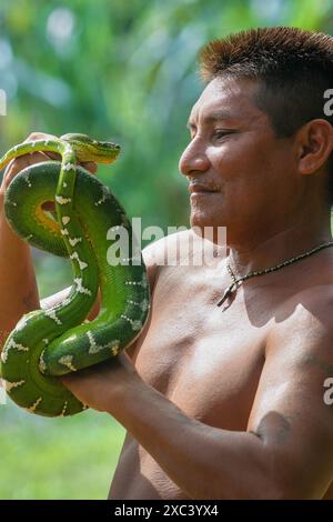 Suriname, Tepu. A member of the Trio tribe with an emerald tree boa in ...