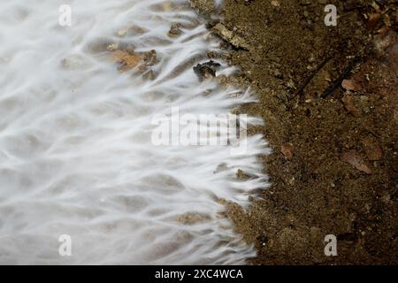 A fragment of white fluffy mold in the basement of a house. Dangerous ...