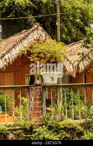 Meandering along the marvellously tranquil Tam Coc river, Ninh Binh ...