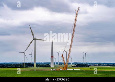 Wind turbine repowering, in the Issum-Oermten wind farm, 9 wind ...