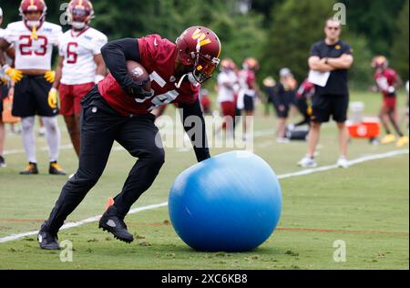 Washington Commanders' Bobby Wagner in action during the NFC ...