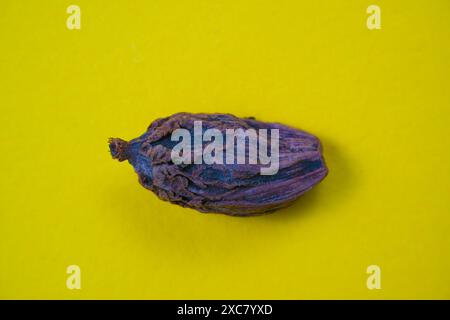 A single picture of black open cardamom, isolated on a yellow ...