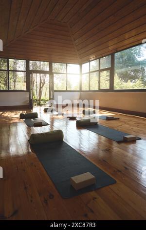 Interior of light yoga studio with mats, plants and shelf units Stock ...