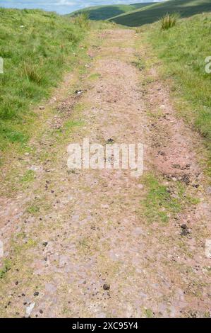 Sheep dung covering Sarn Helen Roman road, Senni valley, Brecon Beacons ...
