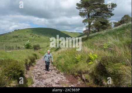 Man walking along Sarn Helen Roman road, Brecon Beacons NAtional Park ...