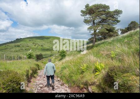 Man walking along Sarn Helen Roman road, Brecon Beacons NAtional Park ...