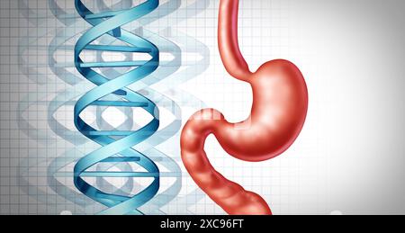 Stomach Genetic Disorders and hereditary Gastric Cancer or DNA and the ...