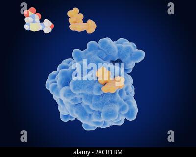 Illustration showing the antibiotic aztreonam (orange) and the drug ...