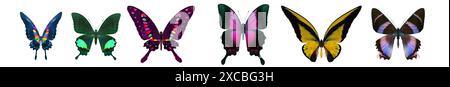 Vibrant exotic butterflies with diverse wing patterns and colors are ...