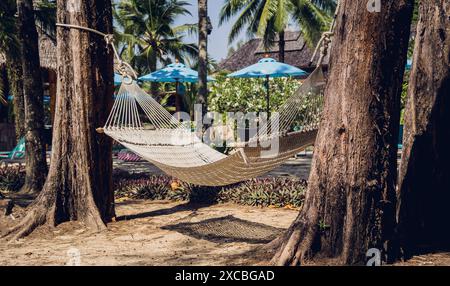 Comfortable swings between two trees in the shadow Stock Photo - Alamy