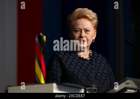 Geisa, Germany. 16th June, 2024. Former Minister of State for Europe ...