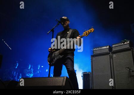 American punk band, Pennywise, performing at the Rock Im Park Festival ...