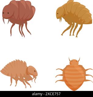 Collection of four bed bug cartoons in different poses, isolated on a ...