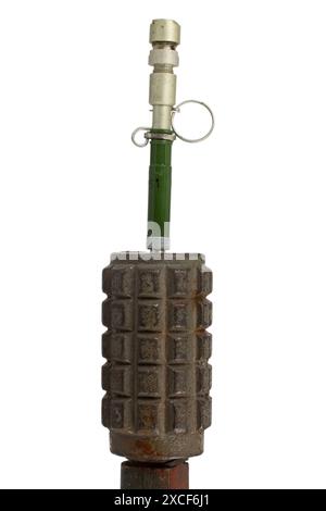 A Soviet-made POMZ-2M landmine is detected by an African Giant Pouched ...