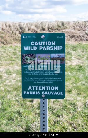 Caution wild parsnip sign at the Citadel in downtown Halifax, Nova ...