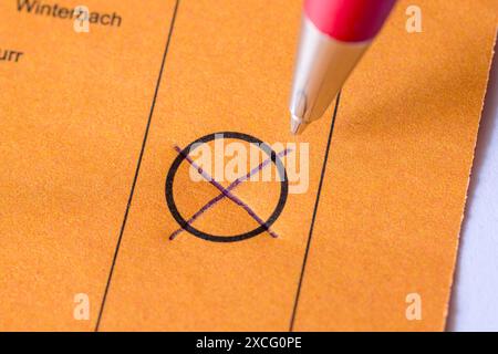 Ballot paper, cross, biros Stock Photo - Alamy