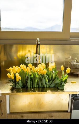 Home decor tulips Stock Photo - Alamy