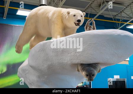 Polar Bear Sculpture on luggage carousel of Yellowknife airport ...