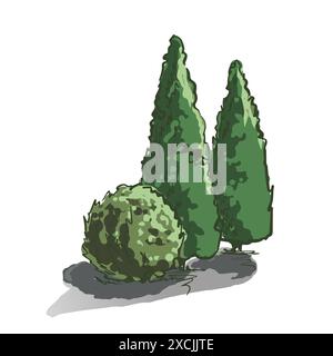 Groups of trees sketch in color. Hand drawing. isolated on white ...