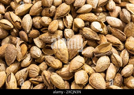 Pile of almond pits in an Asian market Stock Photo - Alamy