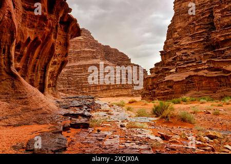 Rock face of steep butte in Wadi Rum valley, Jordan Stock Photo - Alamy