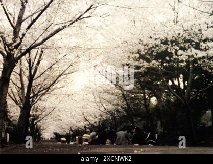 Tokyo-Ga Year : 1985 West Germany / USA Director: Wim Wenders ...