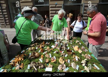 Rijeka, Croatia. 18th June, 2024. Citizens viewing the mushroom ...