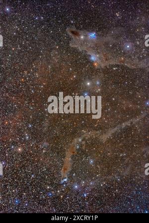 A field of dusty nebulas in northern Cepheus, with the Dark Shark ...