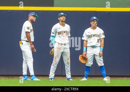 Milwaukee Brewers' Blake Perkins in action during a baseball game ...
