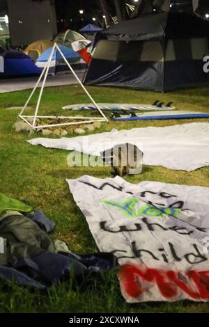 Santa Barbara, USA. 18th June, 2023. Santa Barbara celebrates ...