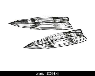 sushi, sashimi . Japanese cuisine. Doodle, cartoon Isolated on a white ...