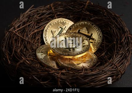 Easter Gold Bitcoin coins in nest on black background. Minimal concept ...