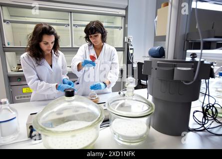 Polymer laboratory. Materials Physics Center is a joint center of the ...