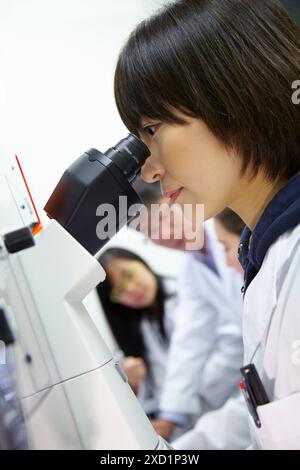 Researcher looking through an inverted microscope how a cell line looks ...