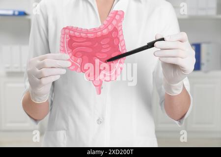 Doctor showing paper intestine cutout in clinic, closeup Stock Photo ...