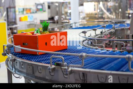 Package of fruits on conveyor. Packing fruits in box container in ...