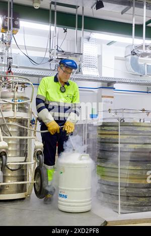 Liquid Nitrogen Refilling, Germanium Detectors, The Laboratorio ...