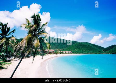 Idyllic tropical Carlisle bay beach with white sand, turquoise ocean ...
