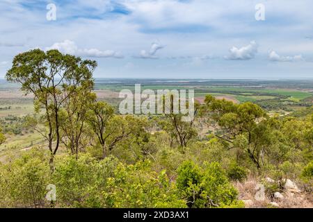 View from Mount Inkerman Scenic Lookout over Landscape of Queensland ...
